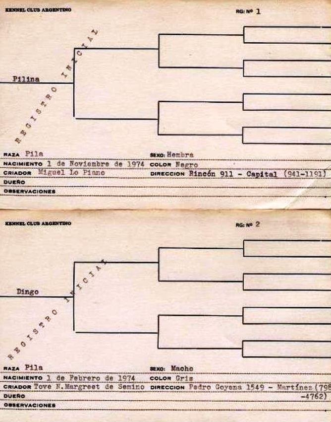 Significado de Pedigree - Kennel Club Argentino